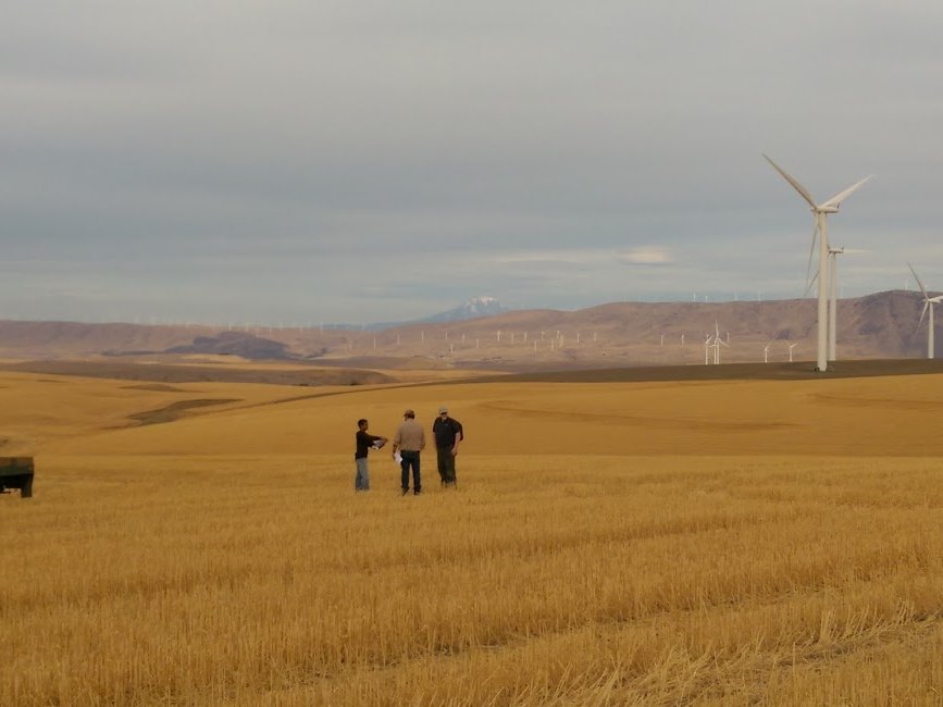 Biglow Canyon Wind Farm - Vazoria