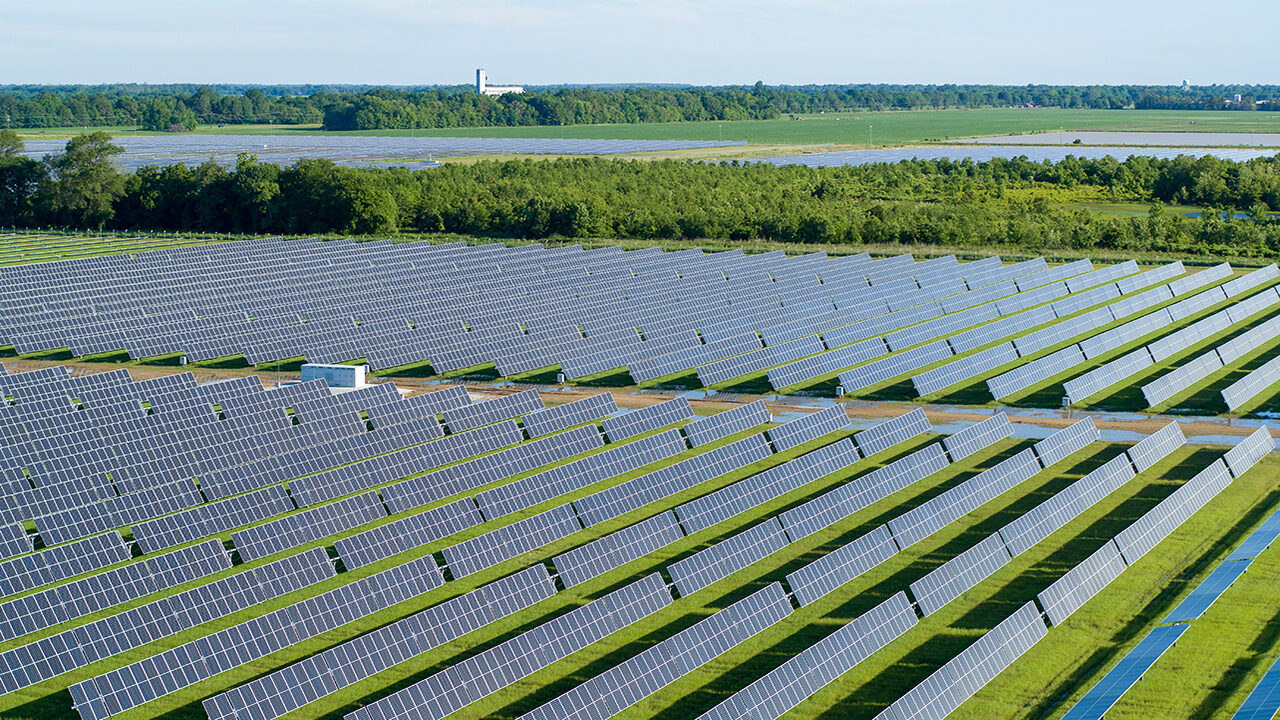 Sunflower County solar farm - Vazoria