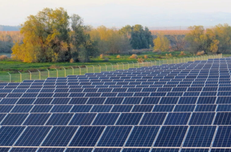 White Pine Solar farm - Vazoria