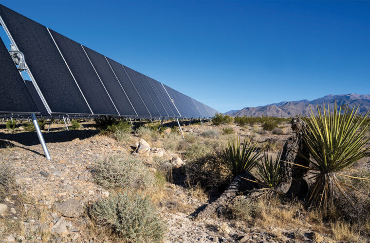 Yellow Pine Solar - Vazoria
